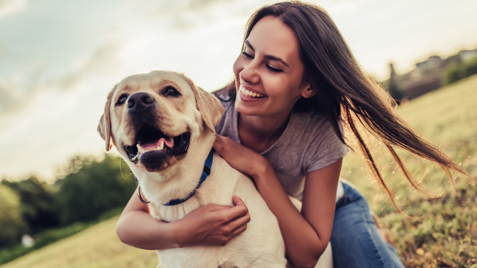 How to Encourage Positive Behavior in Your Dog - Huckleberry's Pet Parlor